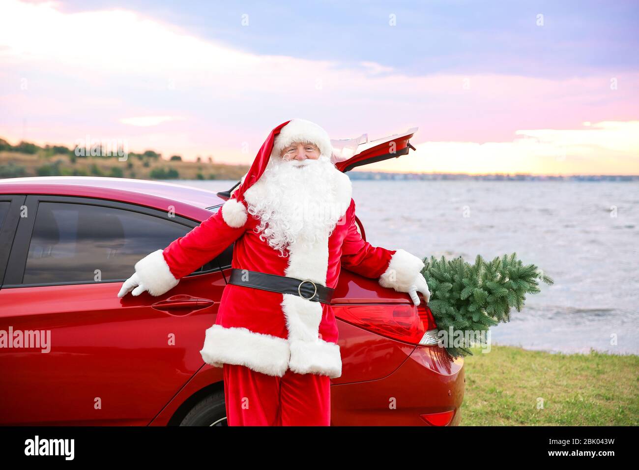 Santa Claus with fir tree in car trunk on riverside Stock Photo - Alamy