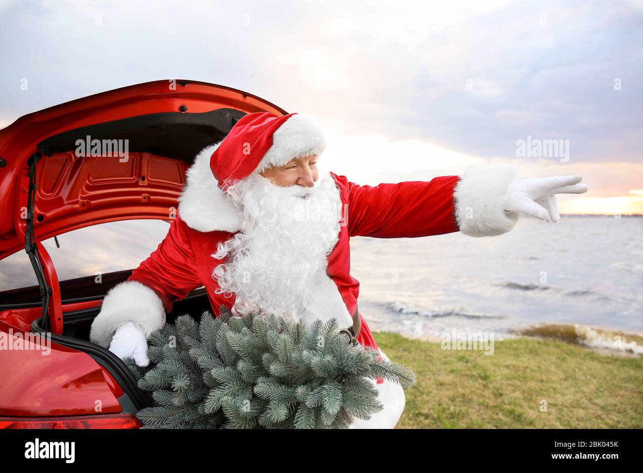 Santa Claus with fir tree in car trunk on riverside Stock Photo - Alamy