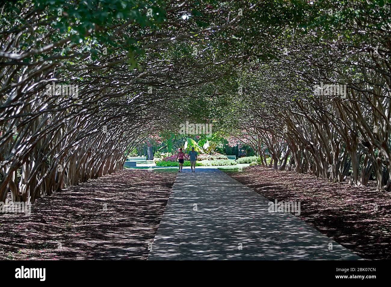 Dallas arboretum botanical gardens hi-res stock photography and images ...