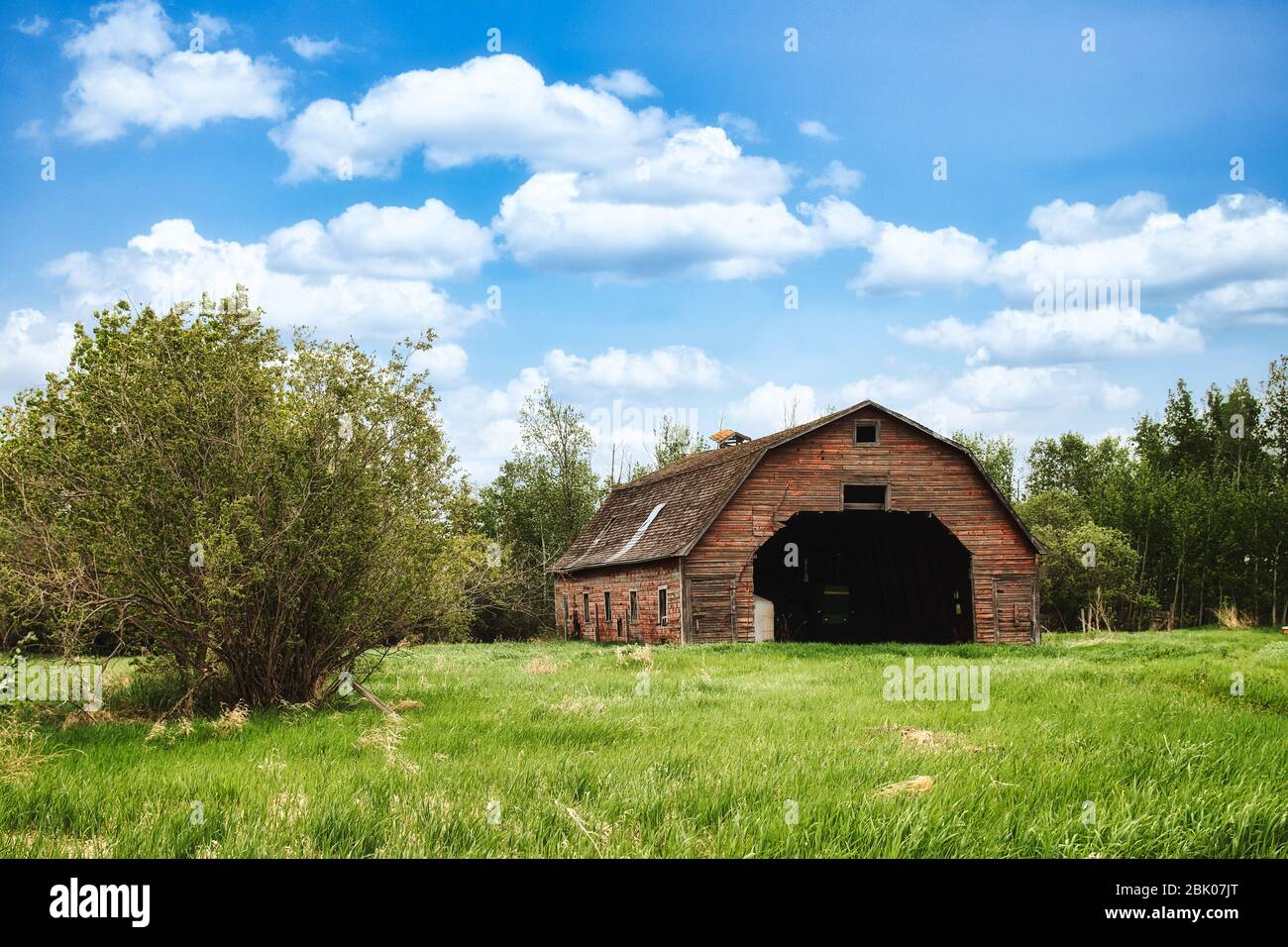 Old Barns With Trees Barn In The Woods Lost In Michigan
