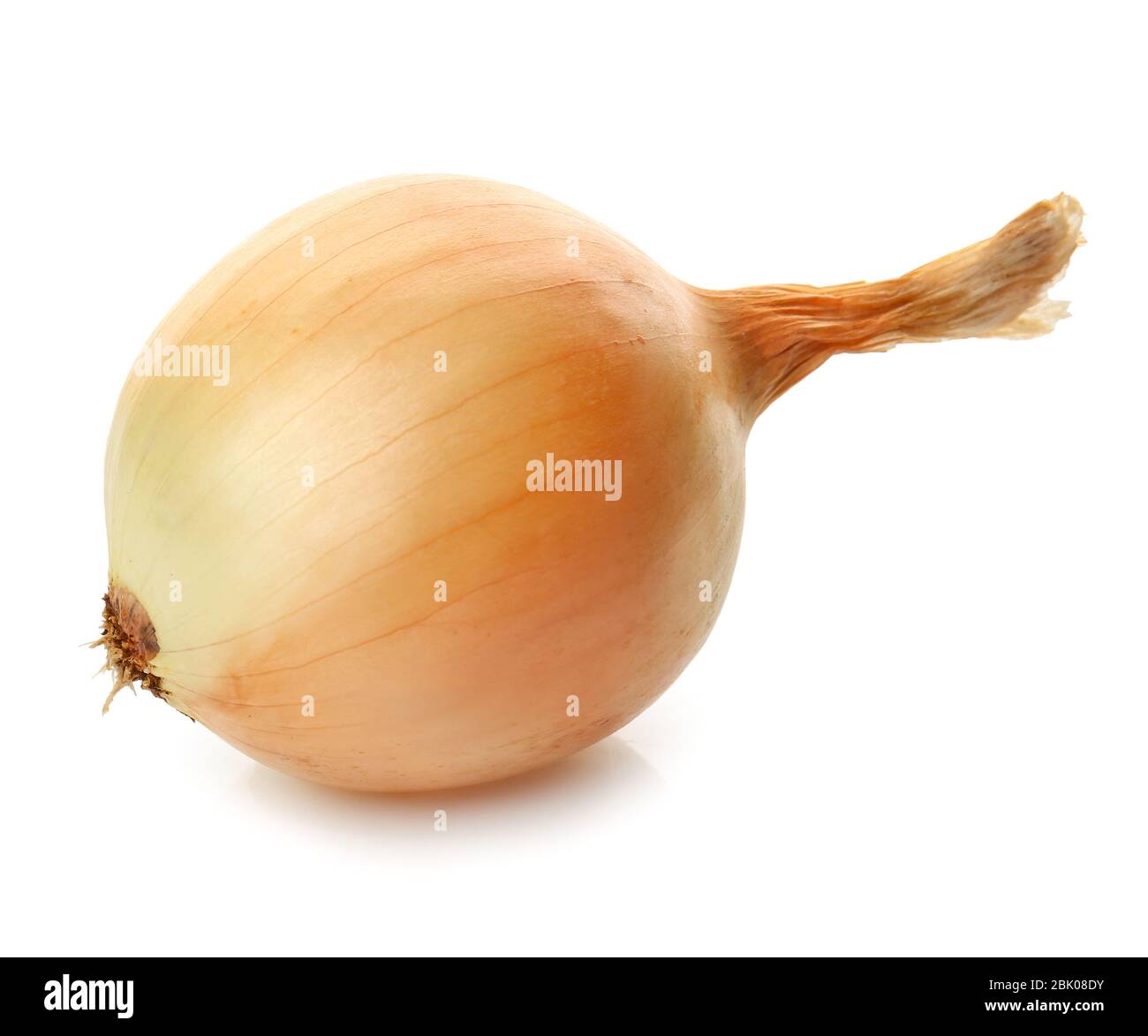 Fresh raw onion on white background Stock Photo - Alamy