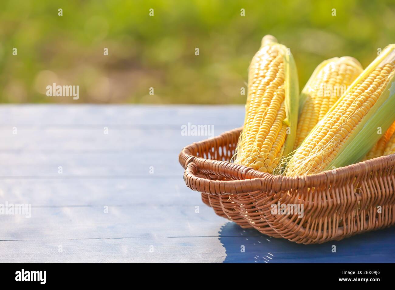 Basket with fresh corn cobs on table outdoors Stock Photo - Alamy