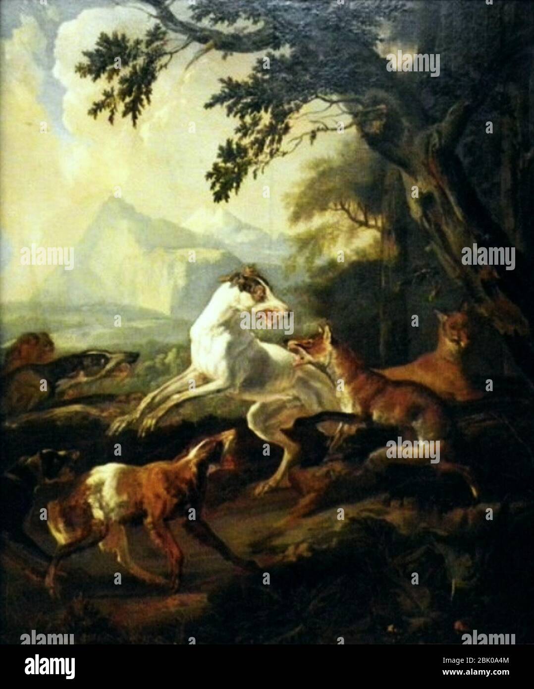 Hondius Dogs fighting Stock Photo - Alamy