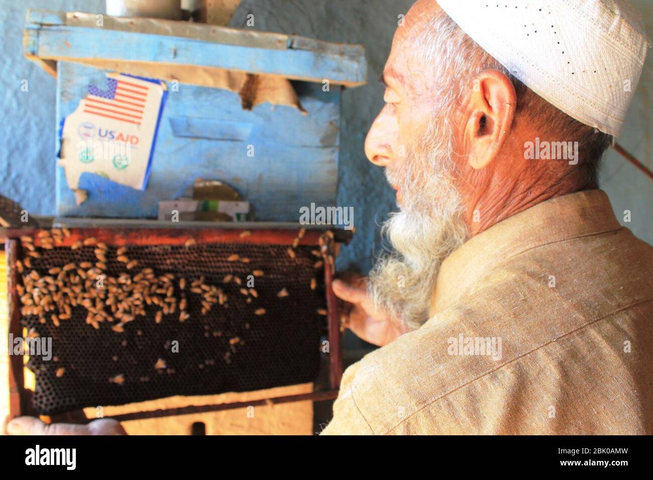 Honey Value Chain Development Initiative under the USAID's ...