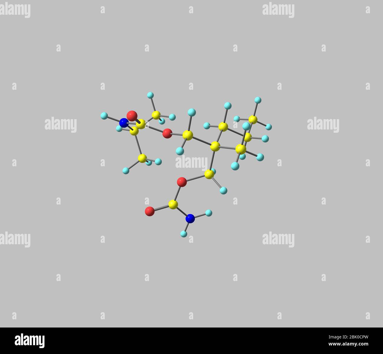 Structure of a skeletal muscle hi-res stock photography and images - Alamy