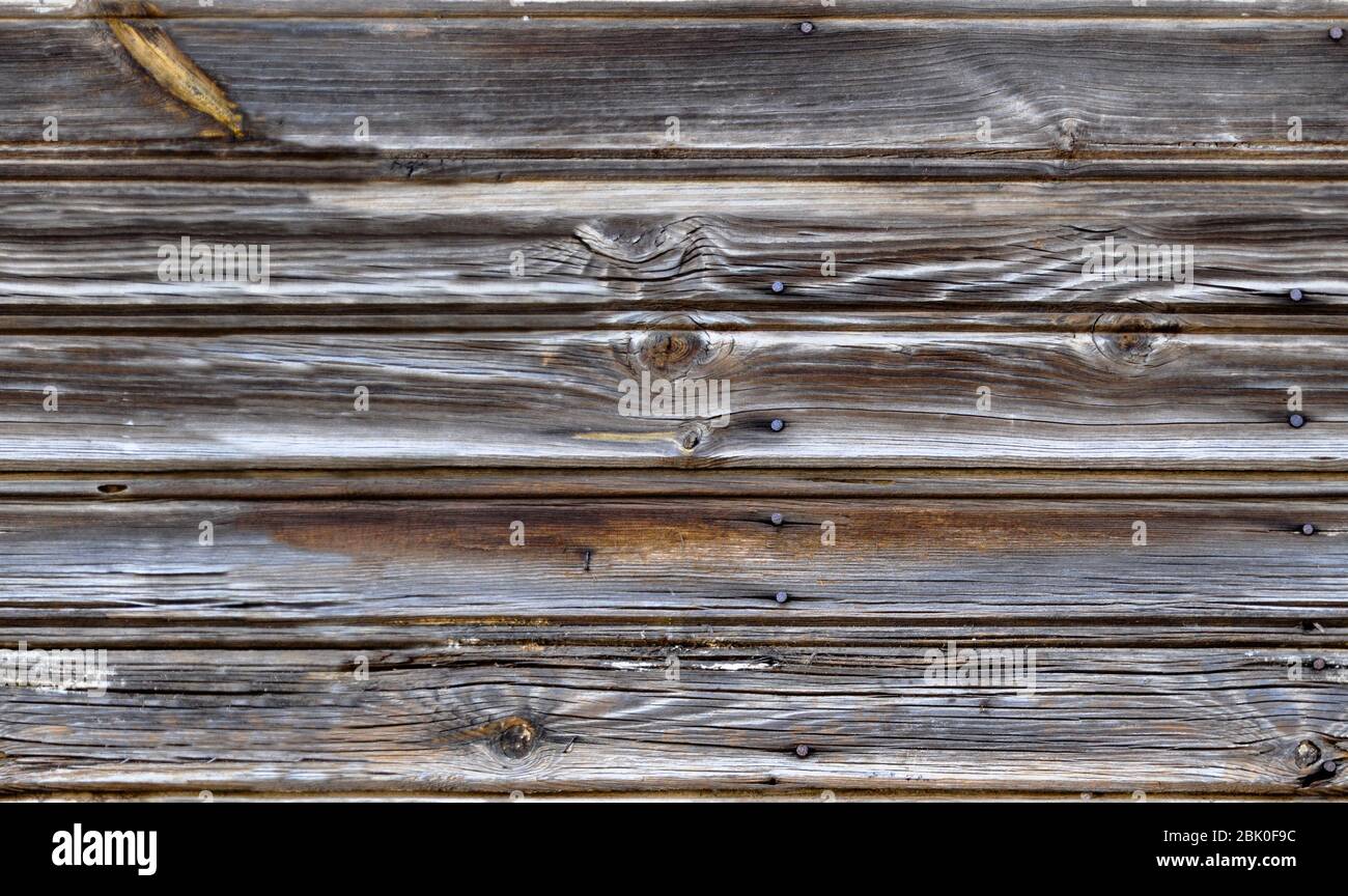 Old wood grain texture. Pine wood old, can be used as background ...