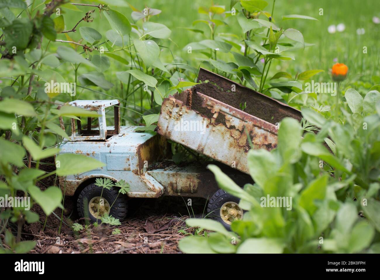 A rusty old toy dump truck in a garden Stock Photo - Alamy