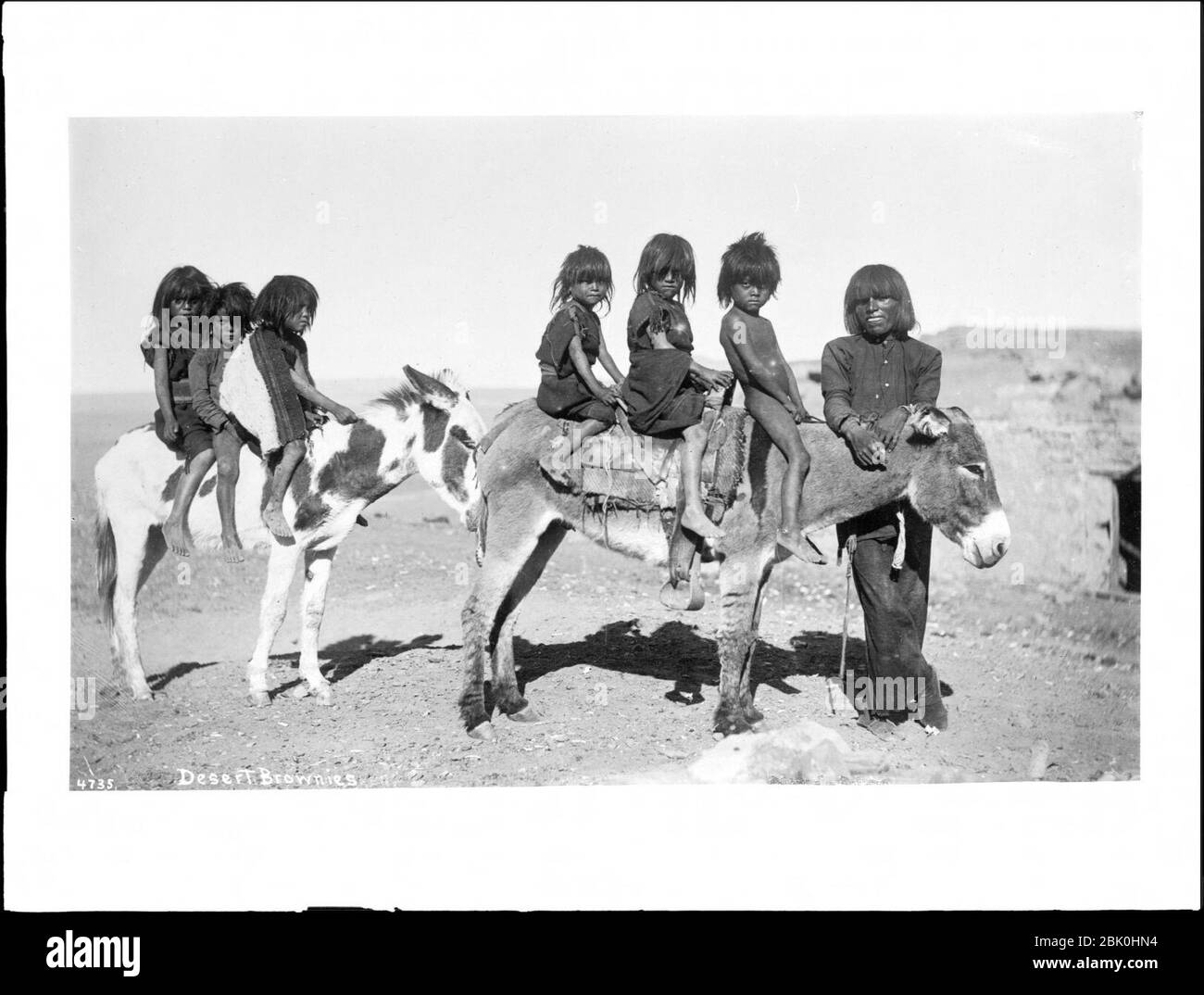 Hopi children riding burros, Arizona, ca.1900 Stock Photo - Alamy