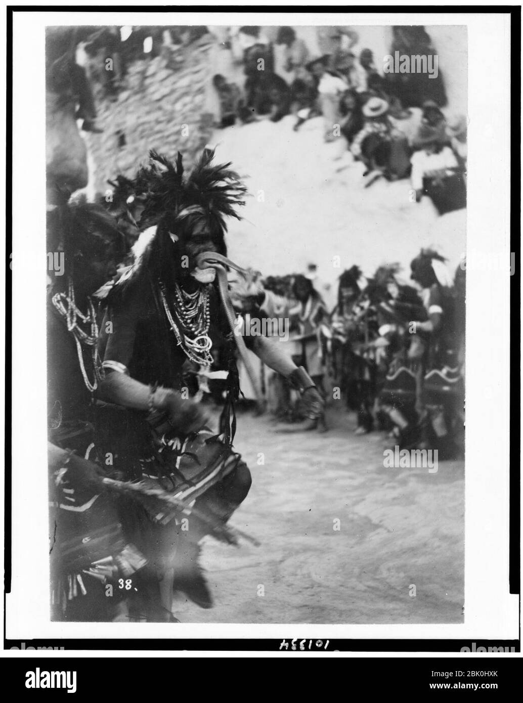 Hopi snake priest with snake in his mouth in the Hopi Snake dance ...