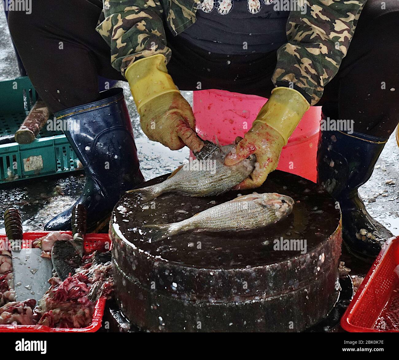 Cleans boots hi-res stock photography and images - Alamy