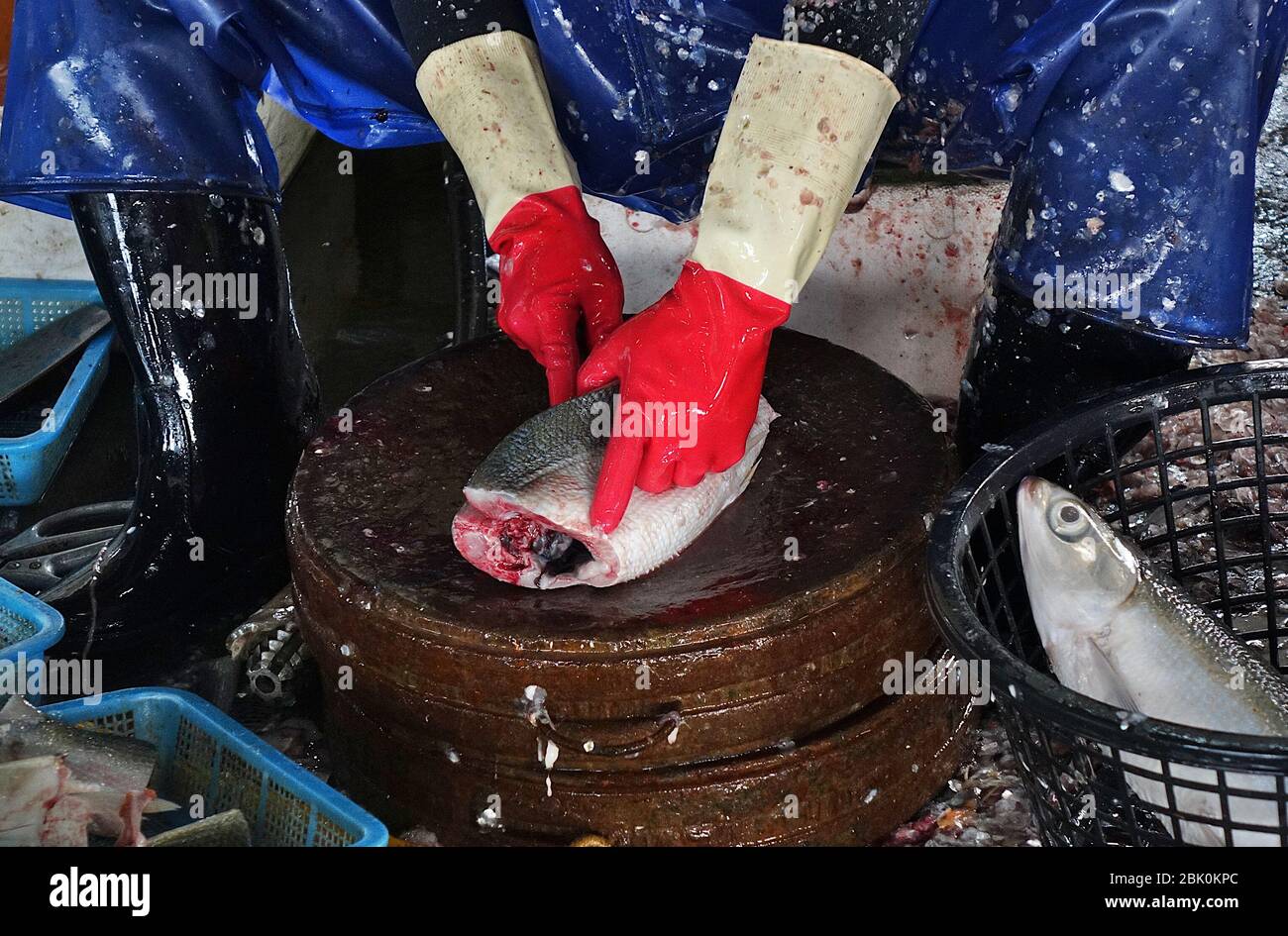 Cleans boots hi-res stock photography and images - Alamy