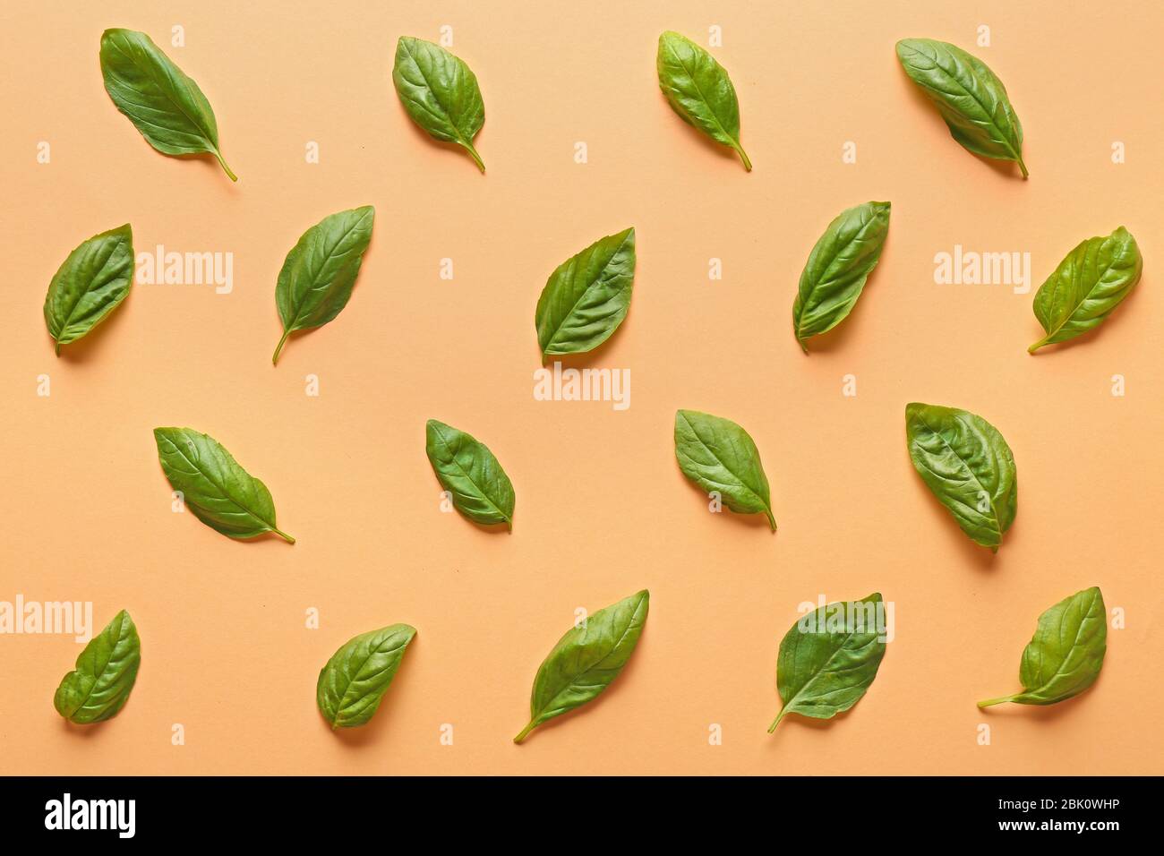 Many basil leaves on color background Stock Photo - Alamy
