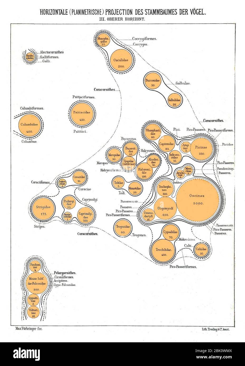 Planimetric hi-res stock photography and images - Alamy