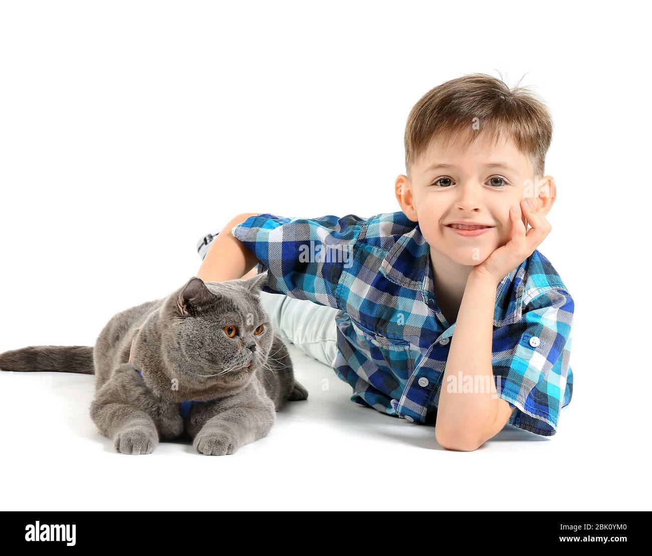 Little boy with cute cat on white background Stock Photo - Alamy