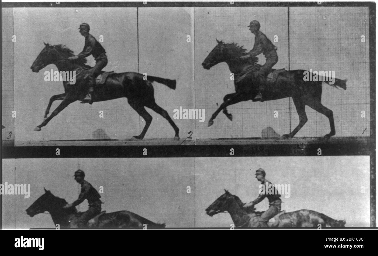 Galloping motion Black and White Stock Photos & Images - Alamy