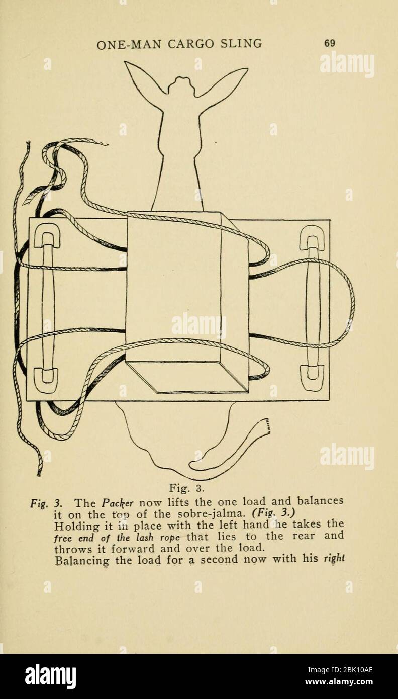 Horse packing (Page 69 Stock Photo - Alamy