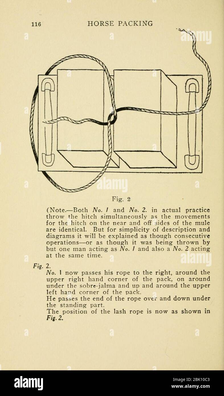 Horse packing (Page 116 Stock Photo - Alamy