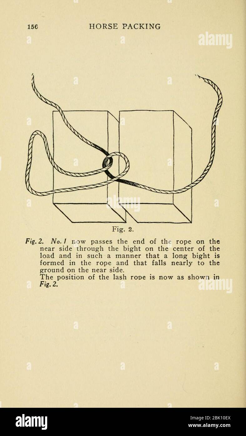 Horse packing (Page 156 Stock Photo - Alamy