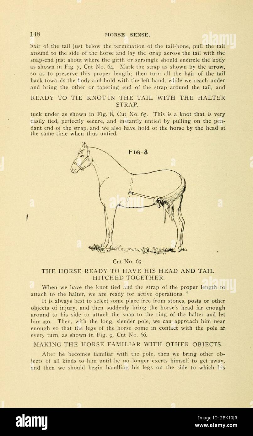 Horse sense (Page 148 Stock Photo - Alamy