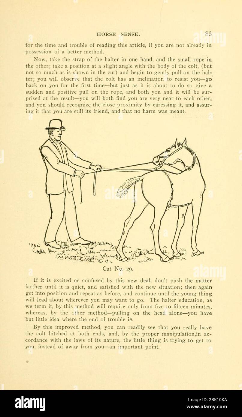 Horse sense (Page 85 Stock Photo - Alamy