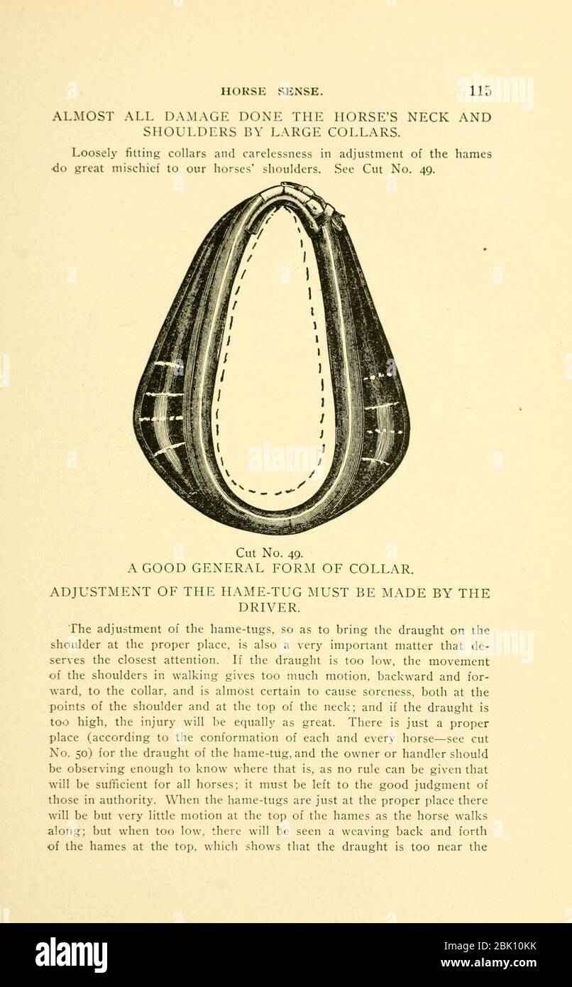 Horse sense (Page 115 Stock Photo - Alamy