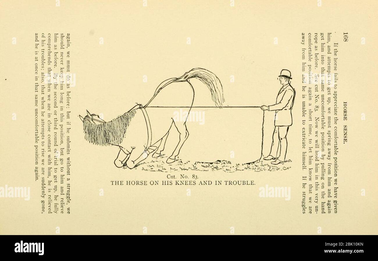 Horse sense (Page 168 Stock Photo - Alamy