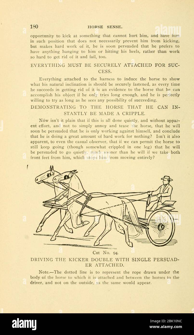 Horse sense hi-res stock photography and images - Alamy