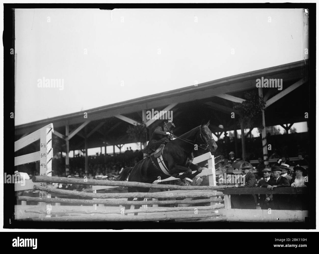 Horse shows Black and White Stock Photos & Images - Alamy