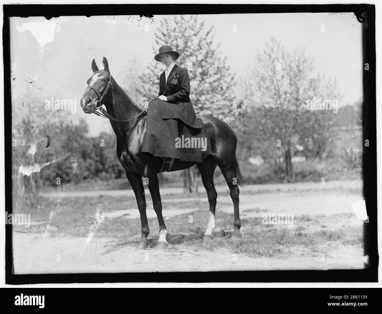 HORSE SHOWS. Helen Buchanan Stock Photo - Alamy