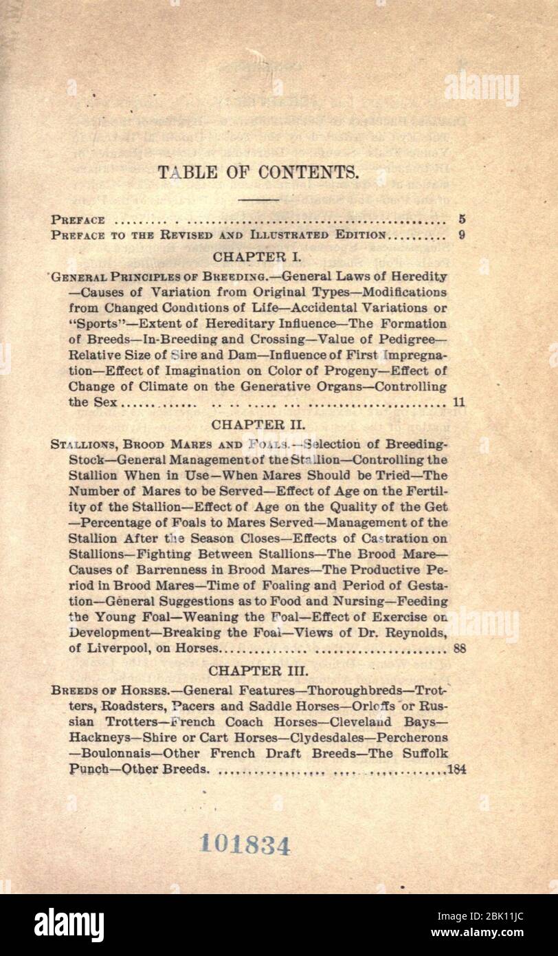 Horse breeding historic hi-res stock photography and images - Alamy