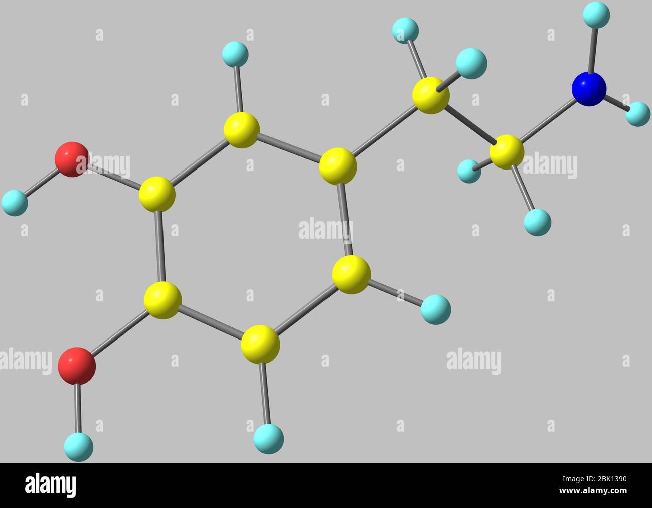 Structural model of Dopamine. It is a neurotransmitter affecting ...