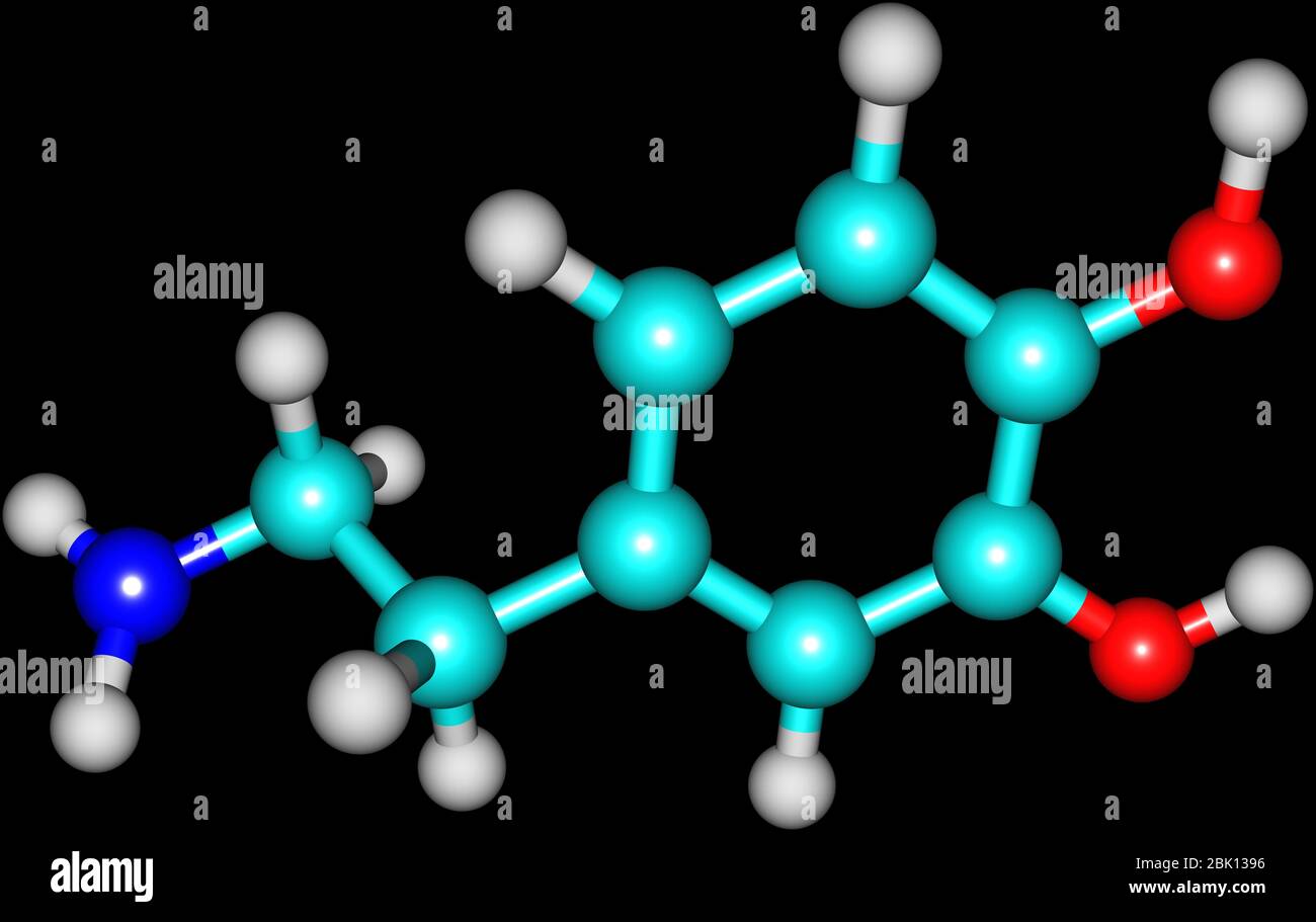 Structural model of Dopamine. It is a neurotransmitter affecting ...