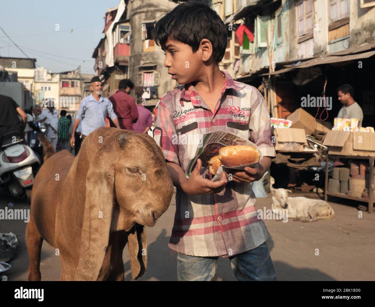 Boy with goat india hi-res stock photography and images - Alamy