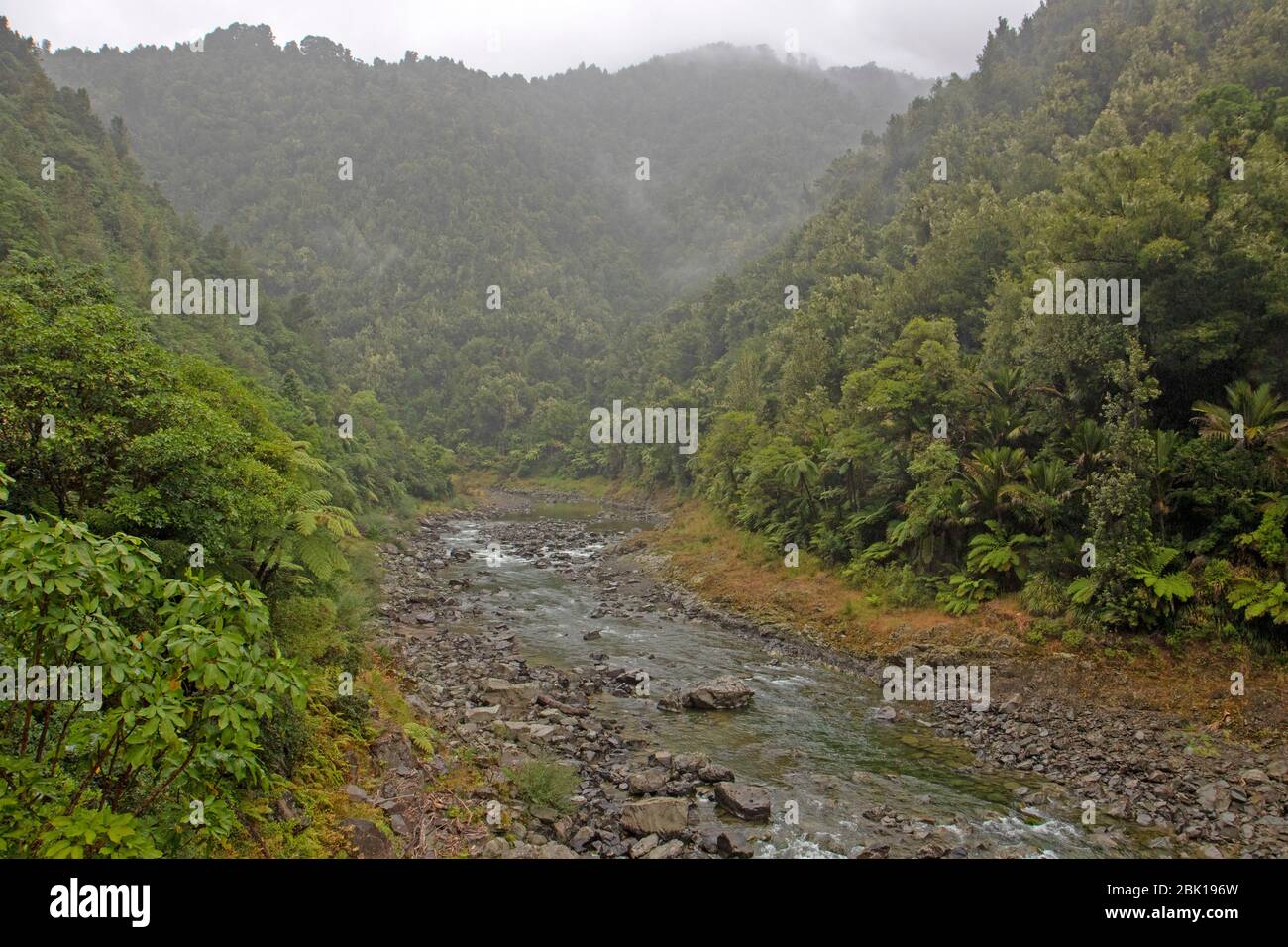 Waioeka gorge hi-res stock photography and images - Alamy