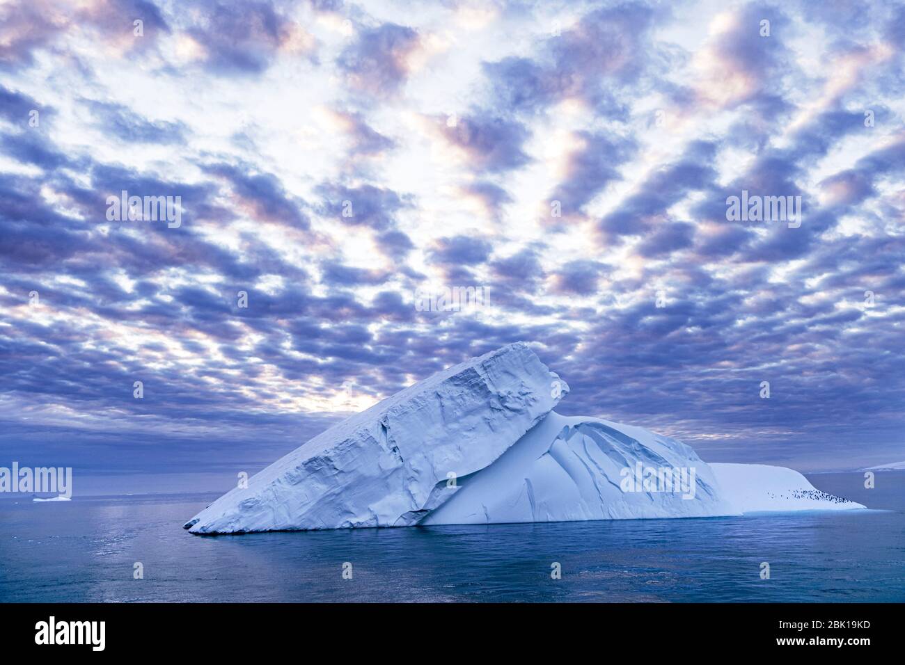 Floating iceberg in the antarctic ocean Stock Photo - Alamy