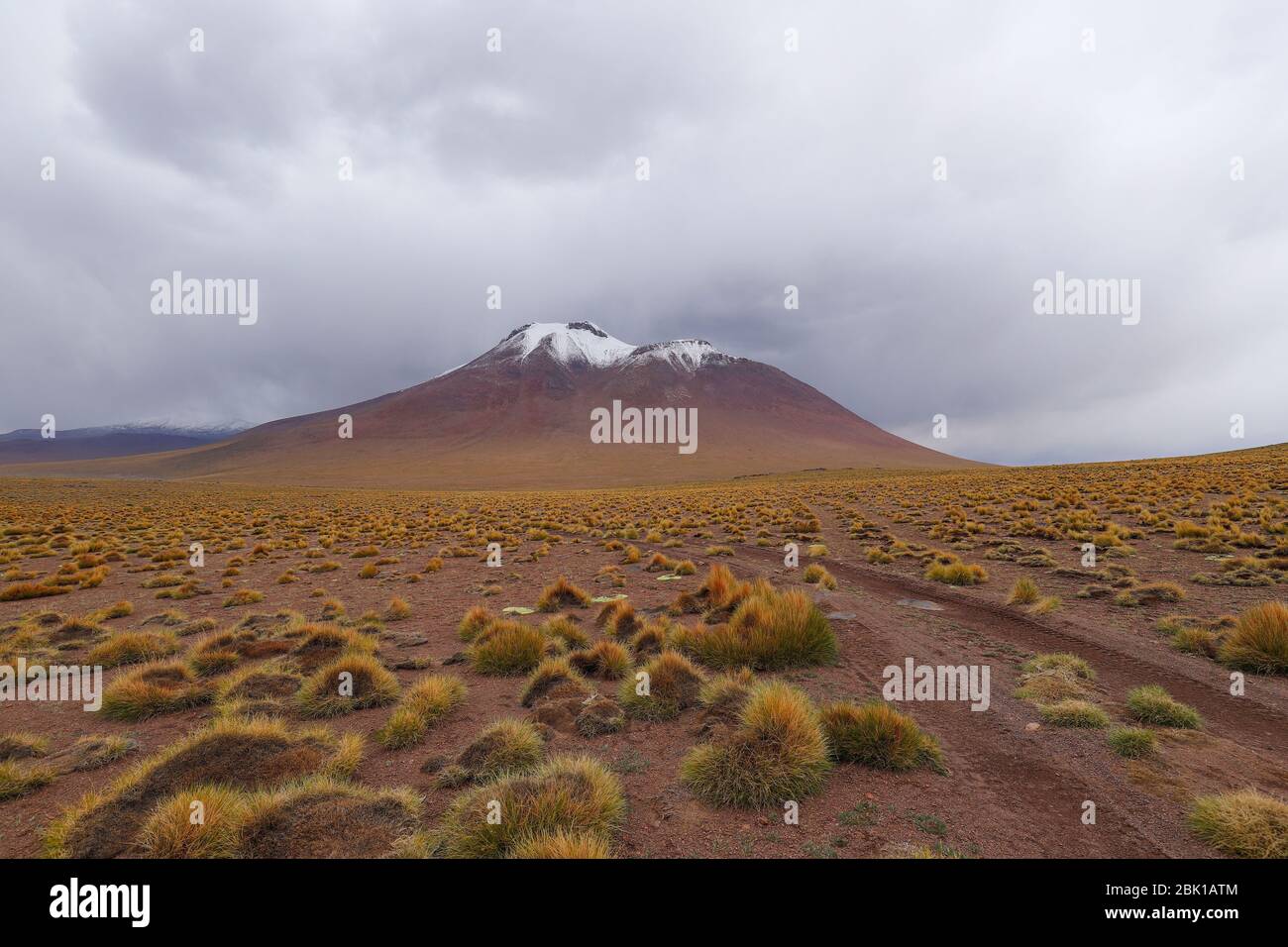 Snow-capped volcanoes and desert landscapes in the highlands of Bolivia ...