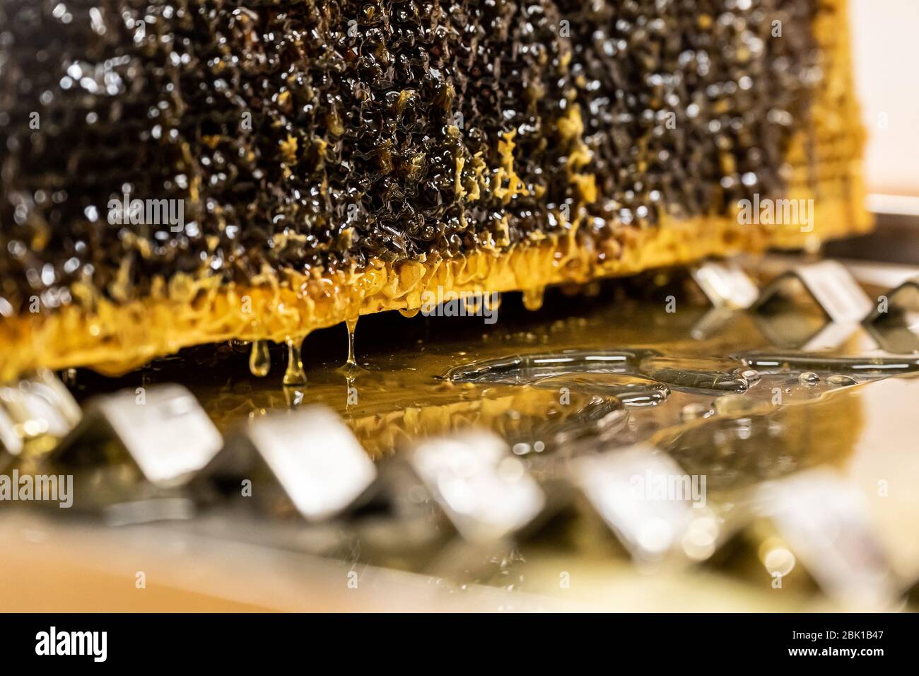 Glossy yellow golden honey comb reflection mirror sweet honey drips ...