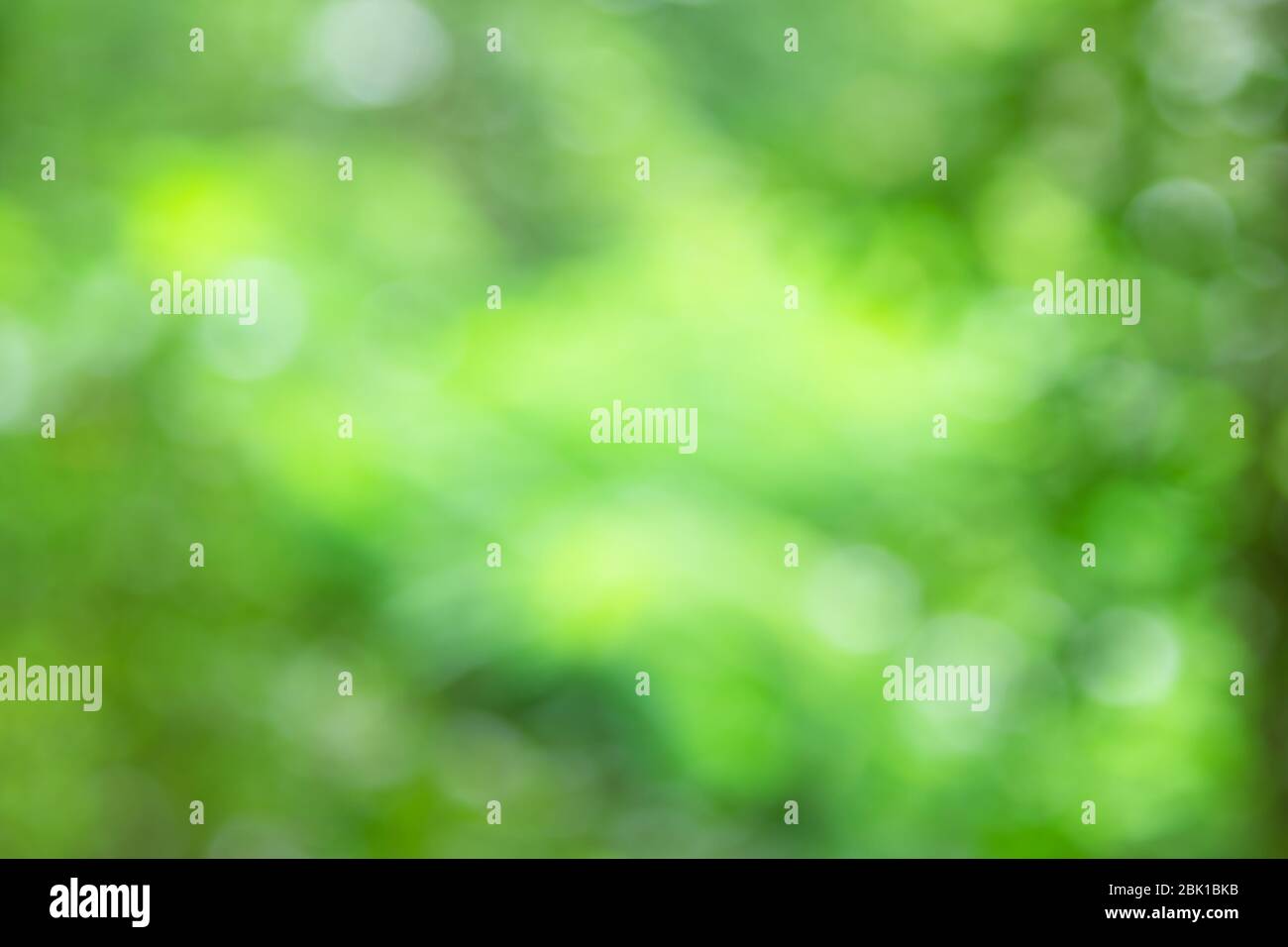 Abstract green blured color gradient background hi-res stock ...