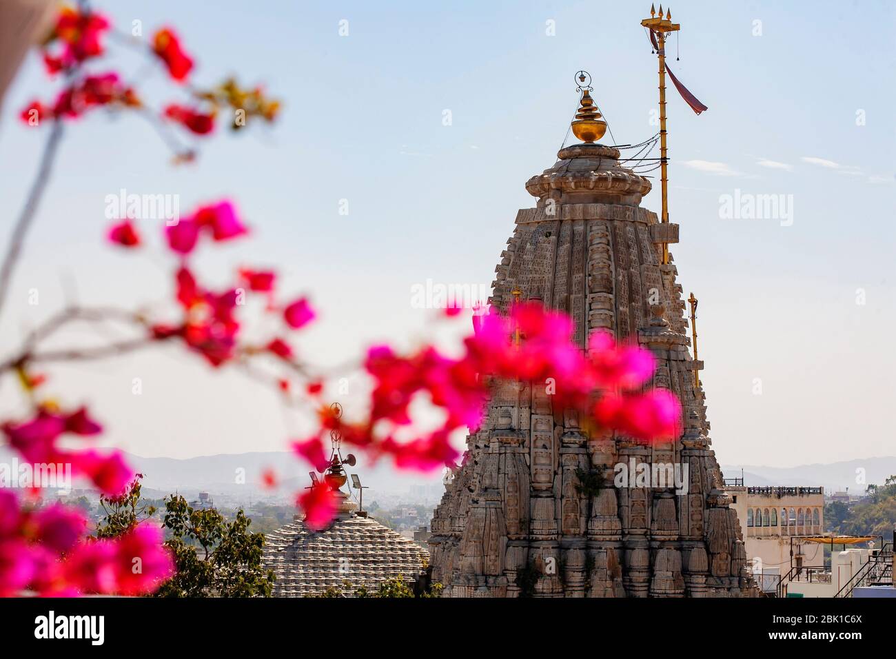 Udaipur city of India, red blooming plant with detail of a temple roof ...