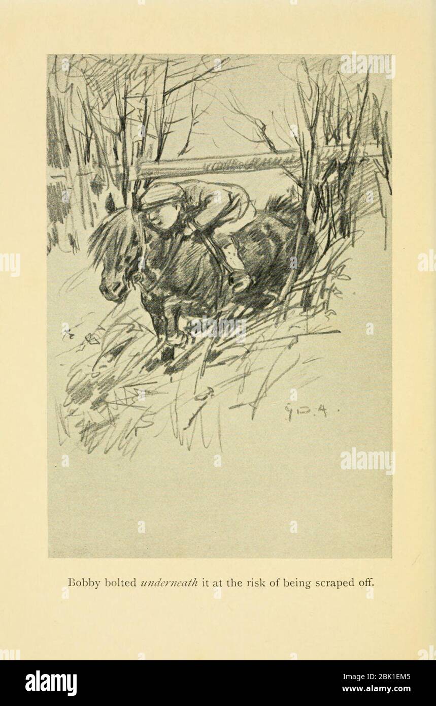 Jedforest hi-res stock photography and images - Alamy