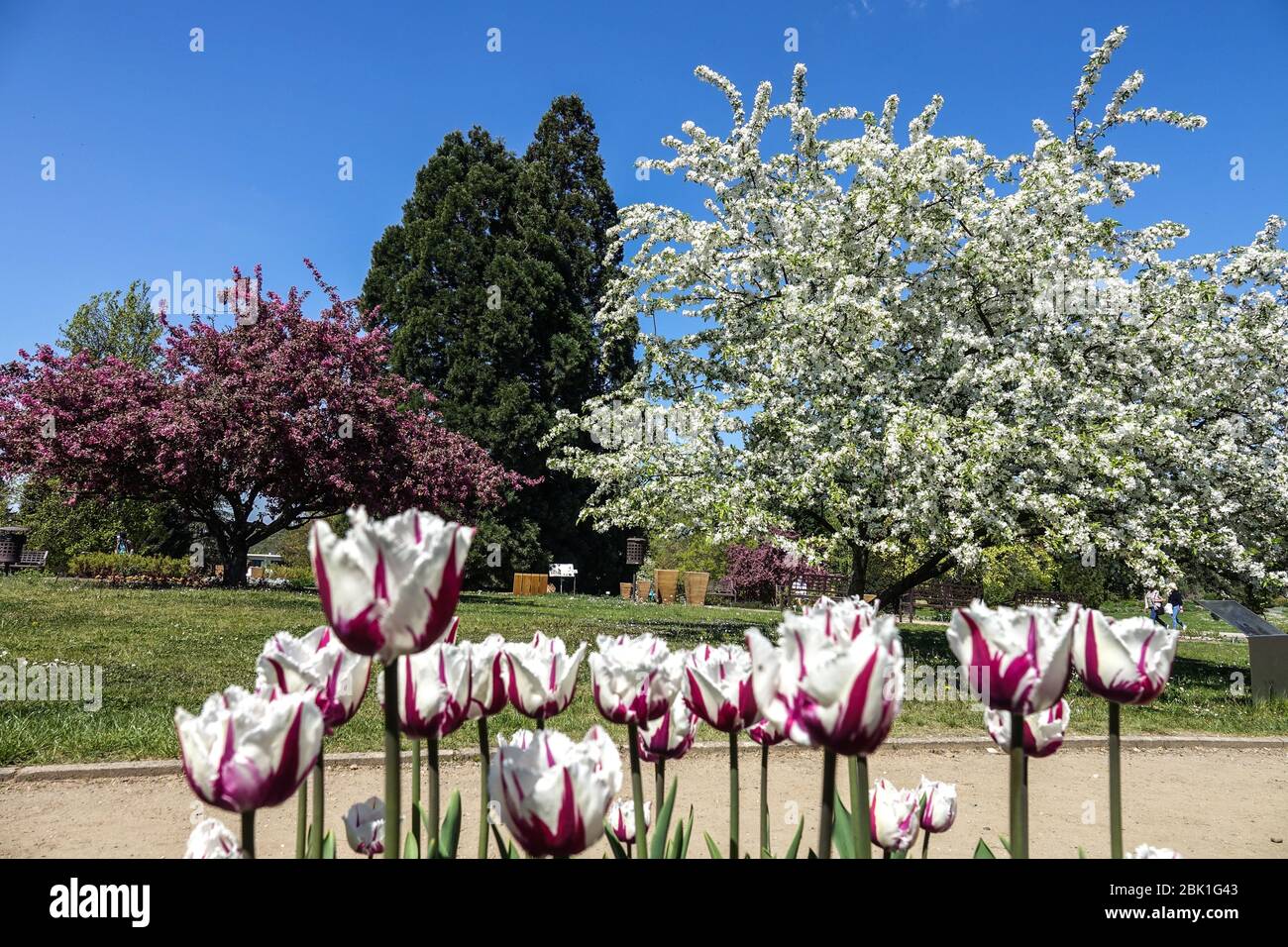Troja botanicka zahrada hi-res stock photography and images - Alamy