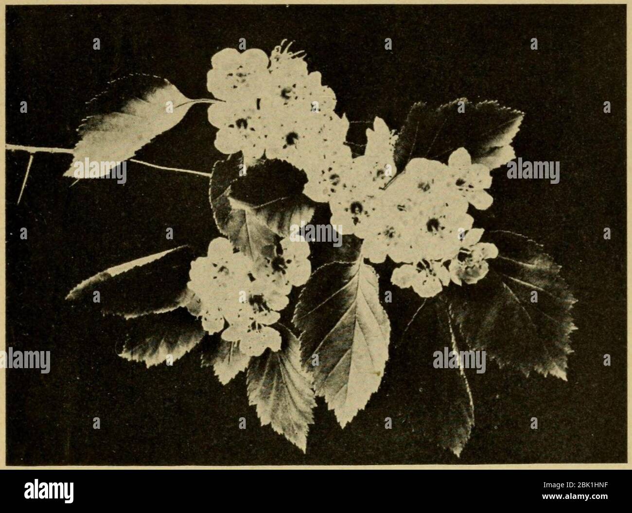 245a hi-res stock photography and images - Alamy