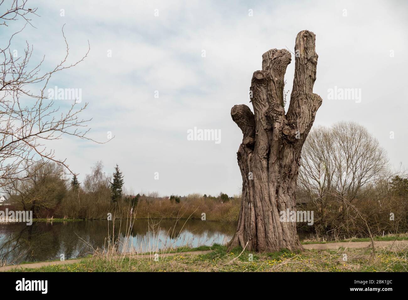 Tree trunk floating on hi-res stock photography and images - Alamy