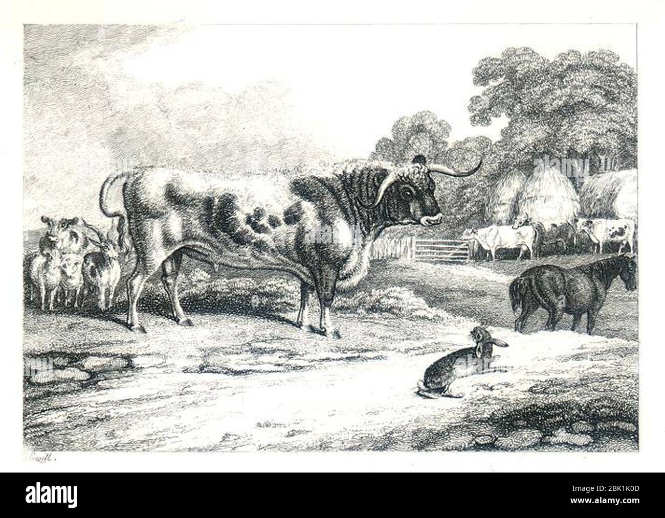 Howitt Cut Out Stock Images & Pictures - Alamy