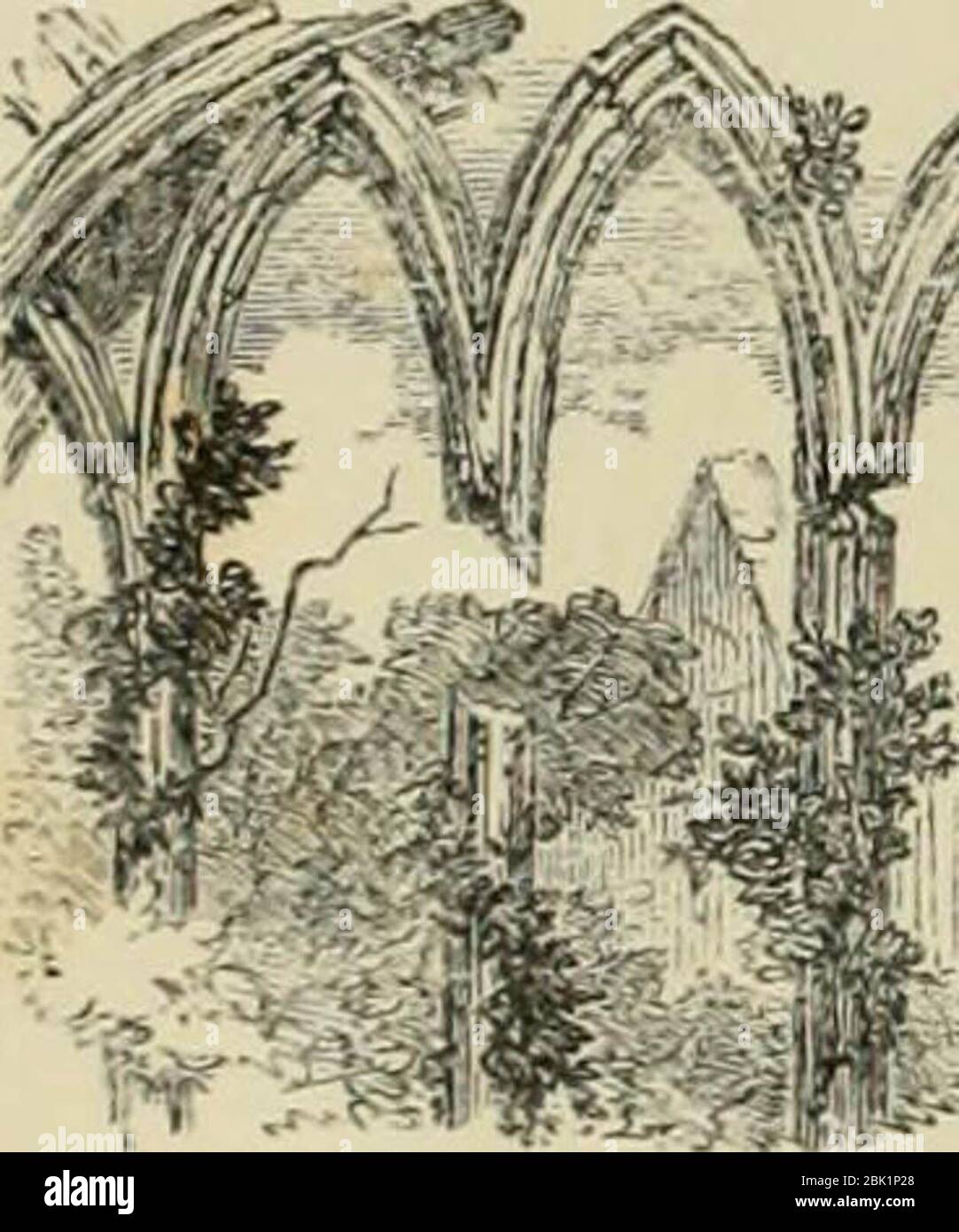 "Ruined abbeys and castles of Great Britain and Ireland" (1864 Stock ...