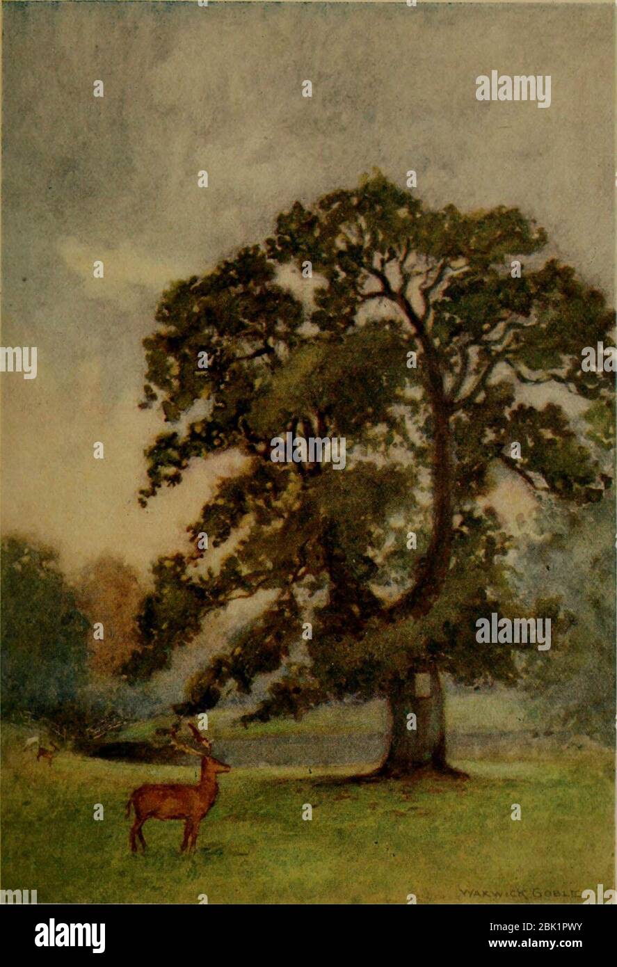 "The greater abbeys of England" (1908 Stock Photo - Alamy