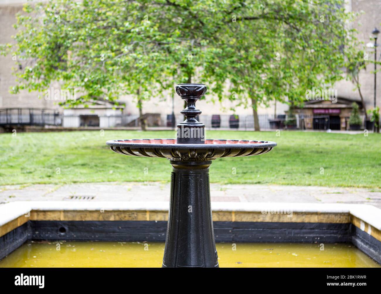 Fountain tree hi-res stock photography and images - Alamy