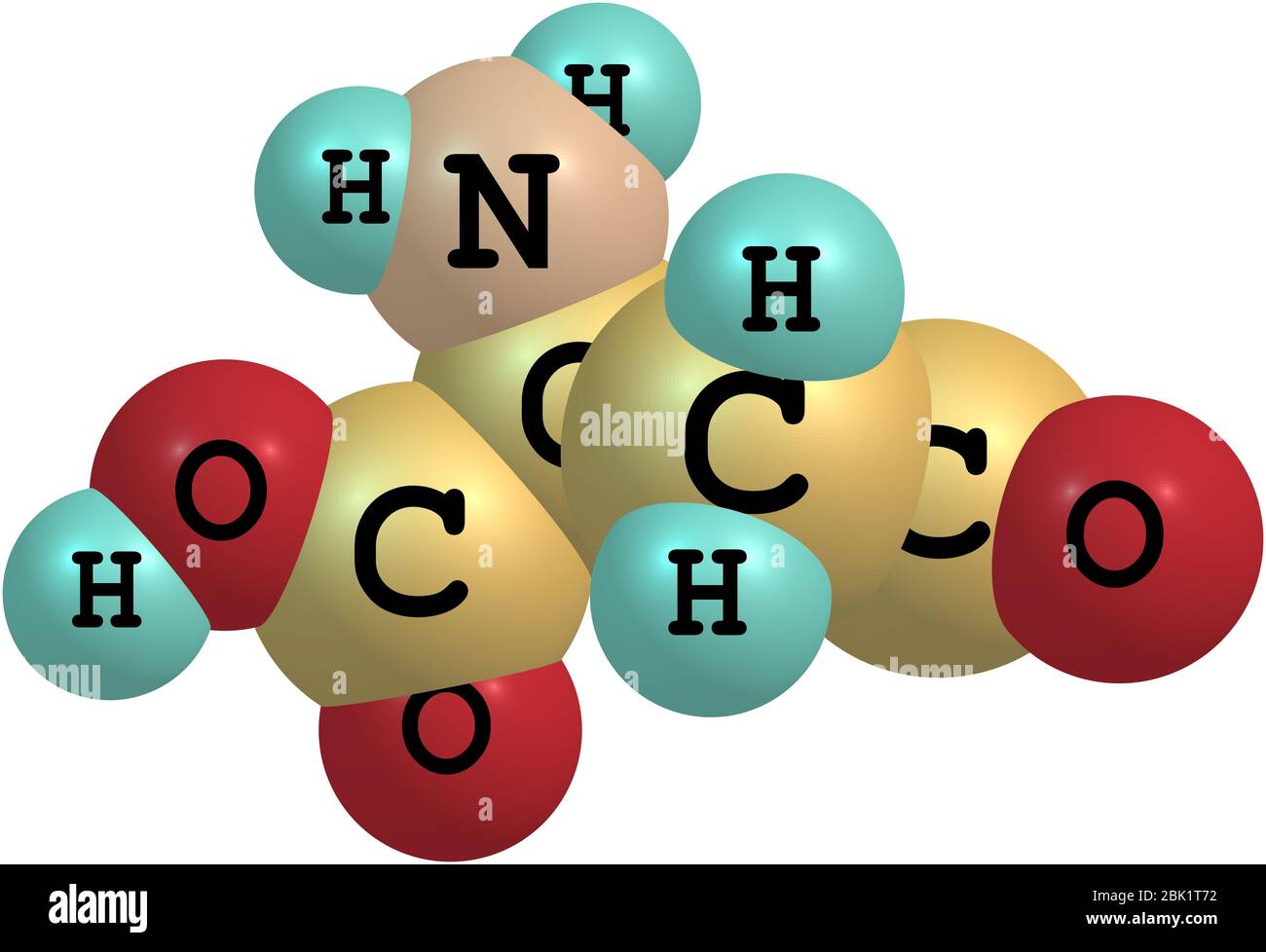 Aspartic acid amino molecule hi-res stock photography and images - Alamy