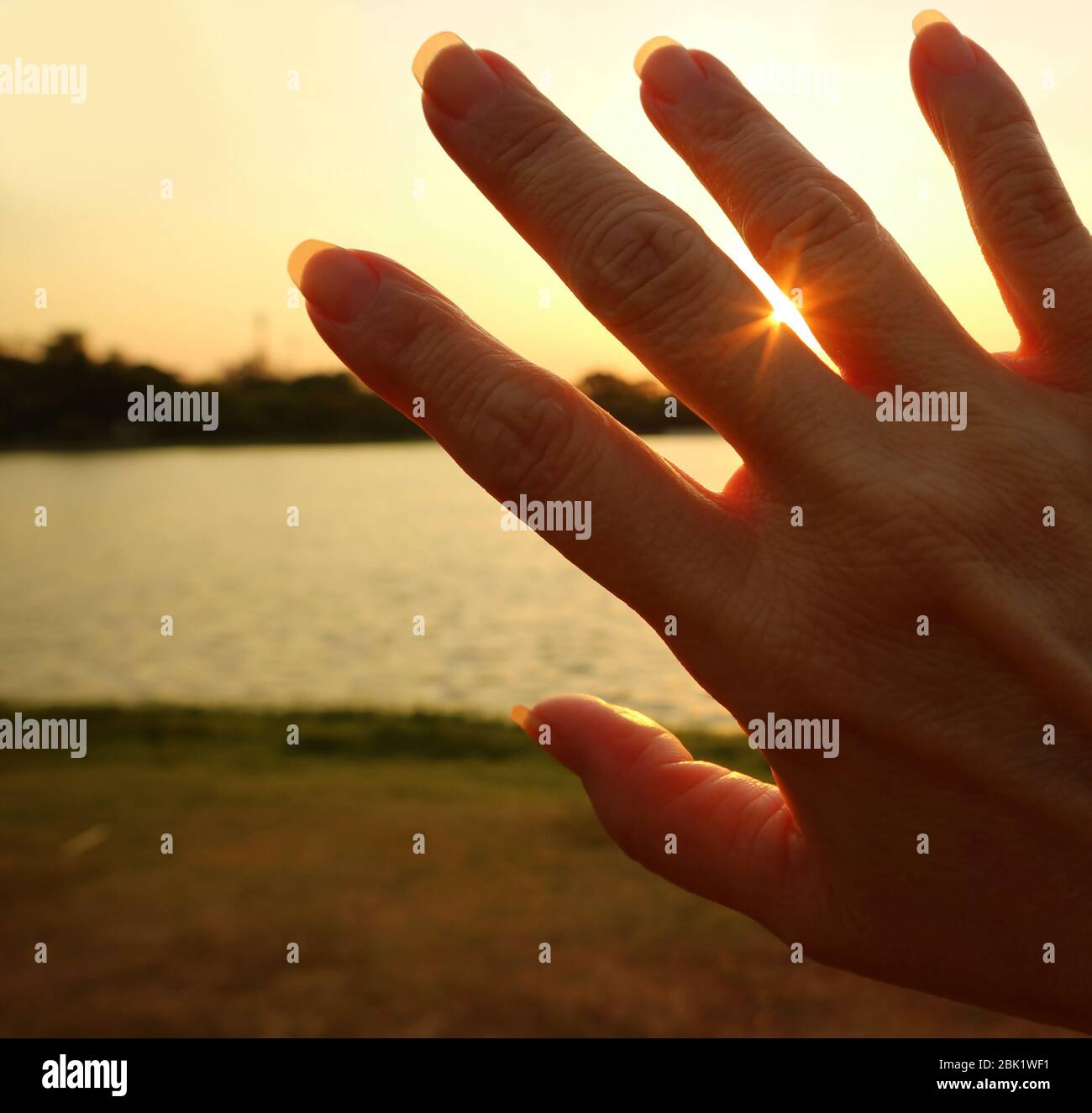 Dazzling sunlight shining through the fingers of woman's hand Stock ...