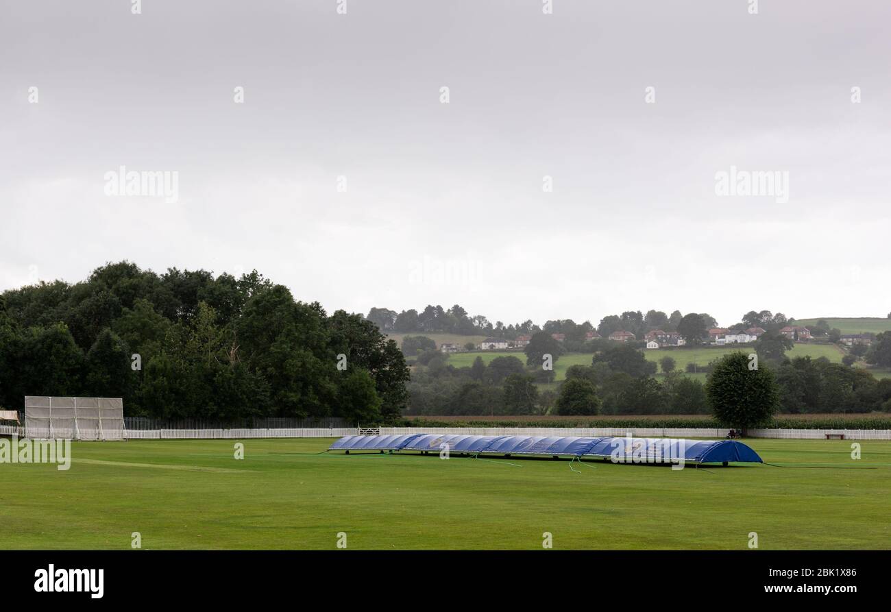 Ground covers hi-res stock photography and images - Alamy